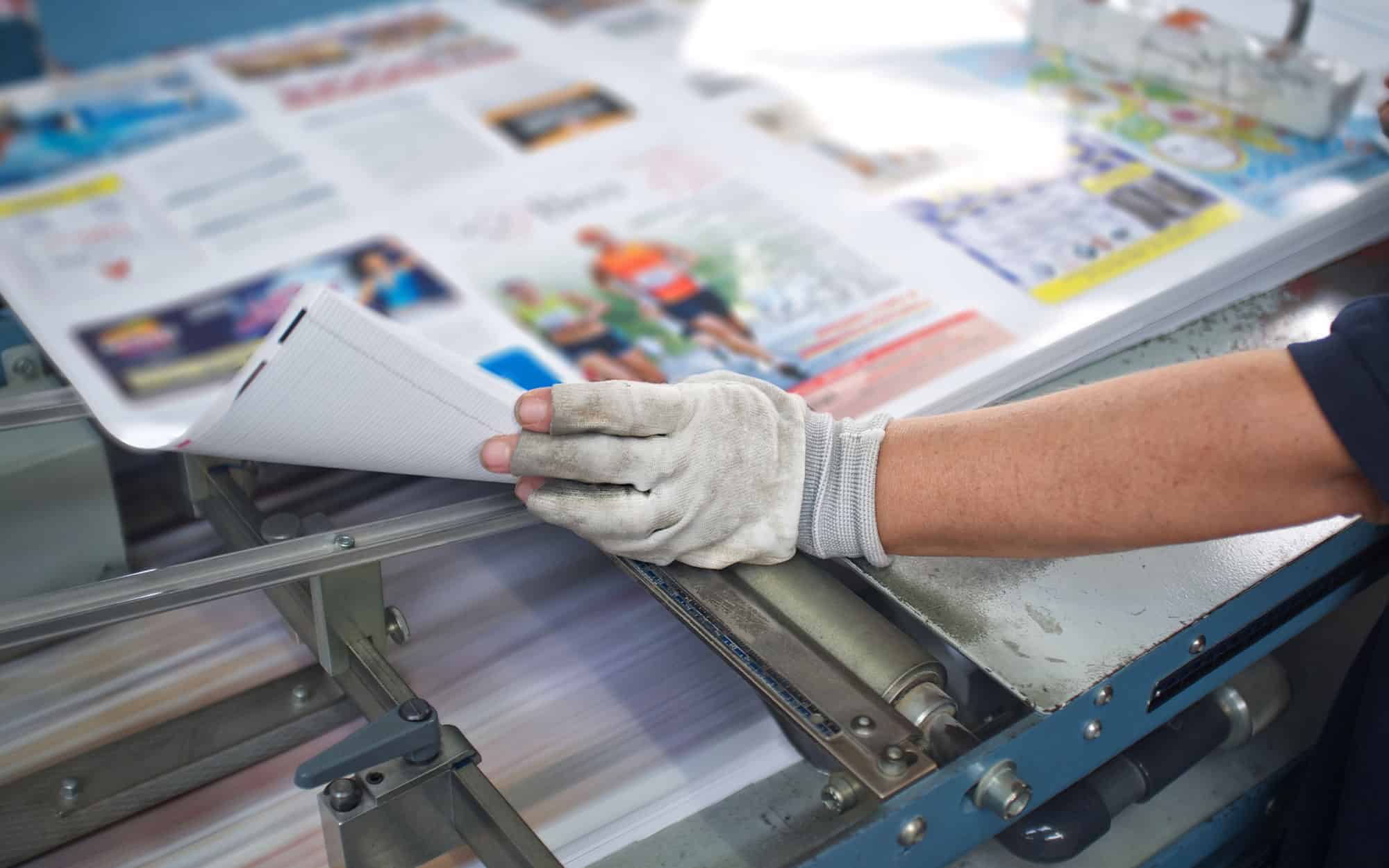 Postcard Ideas for Your Campaign | Presort Inc.